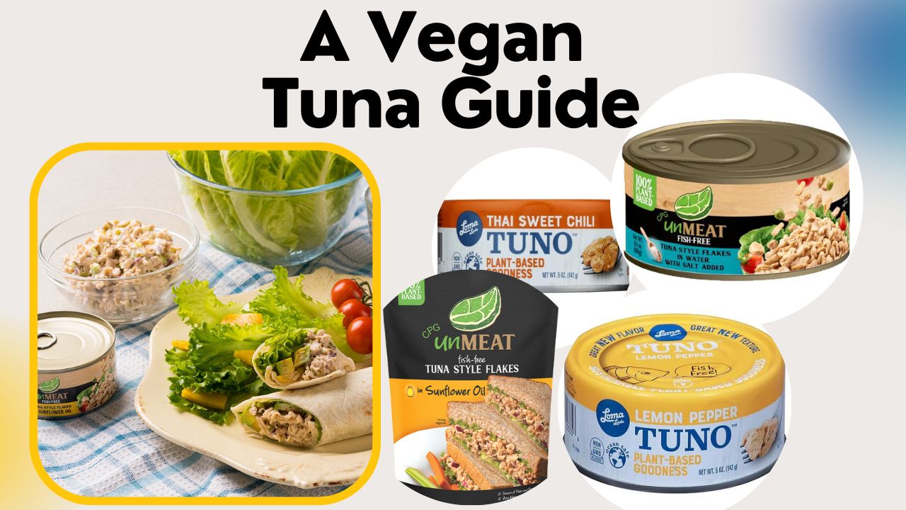 The Ultimate Vegan Tuna Guide For A Sustainable Tuna Alternative ...